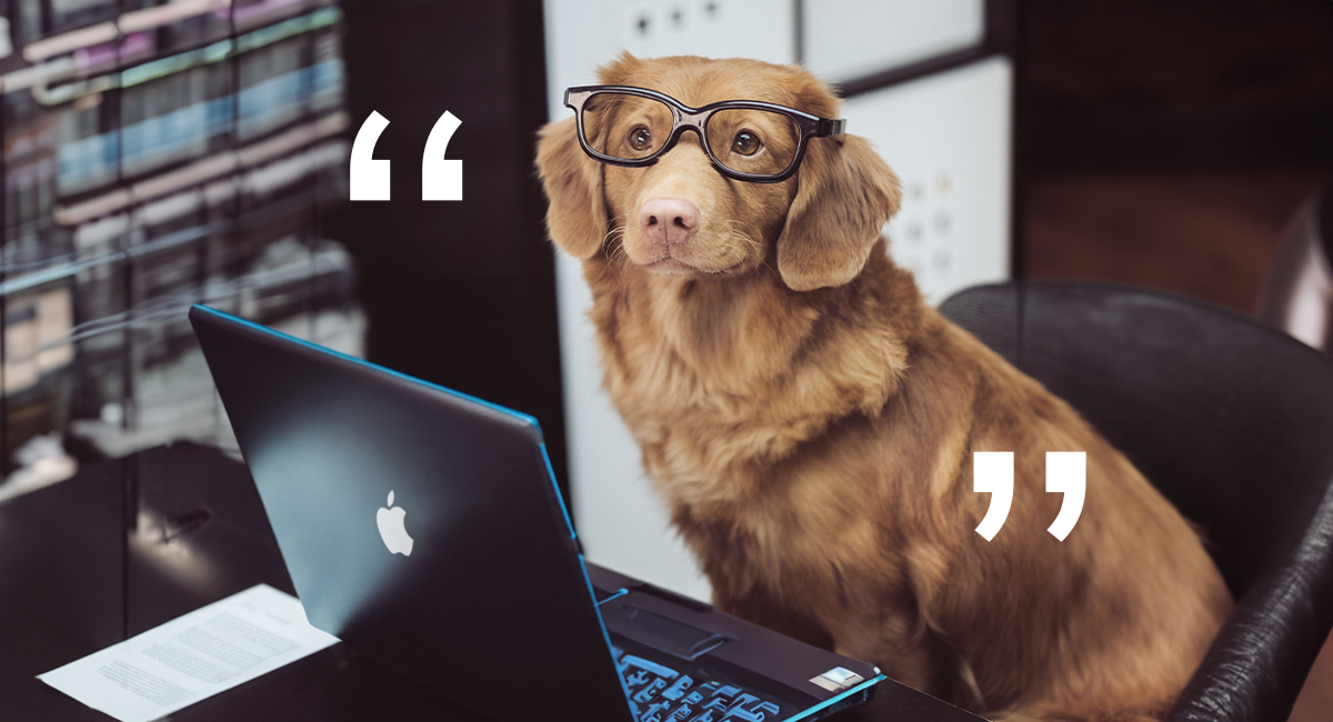 Kako poboljšati pisanje za web u 5 koraka - Pisalica.com