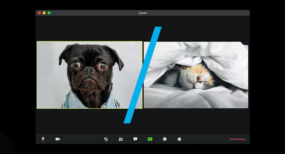 Zoom aplikacija: besplatna i jednostavna za grupne sastanke i webinare